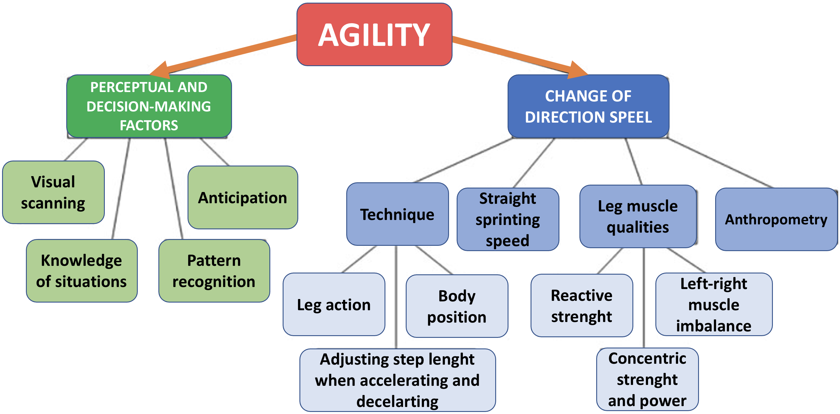 SPEED AND AGILITY TRAINING. – HOLISTIC FLOORBALL COACHING
